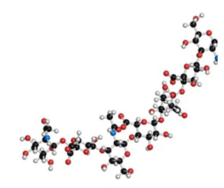 What is protein filler for hair?