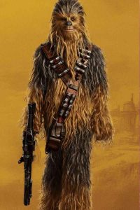 Unleash Your Inner Jedi: 9 Star Wars Hairstyles to Try Today - ReenaSidhu
